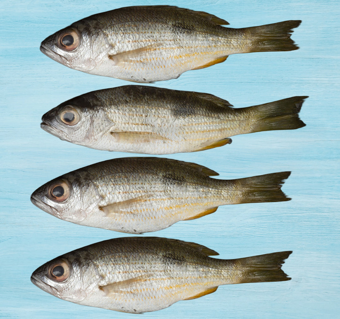 Fresh Naizer Fish Whole Cleaned 500 g – Shefs