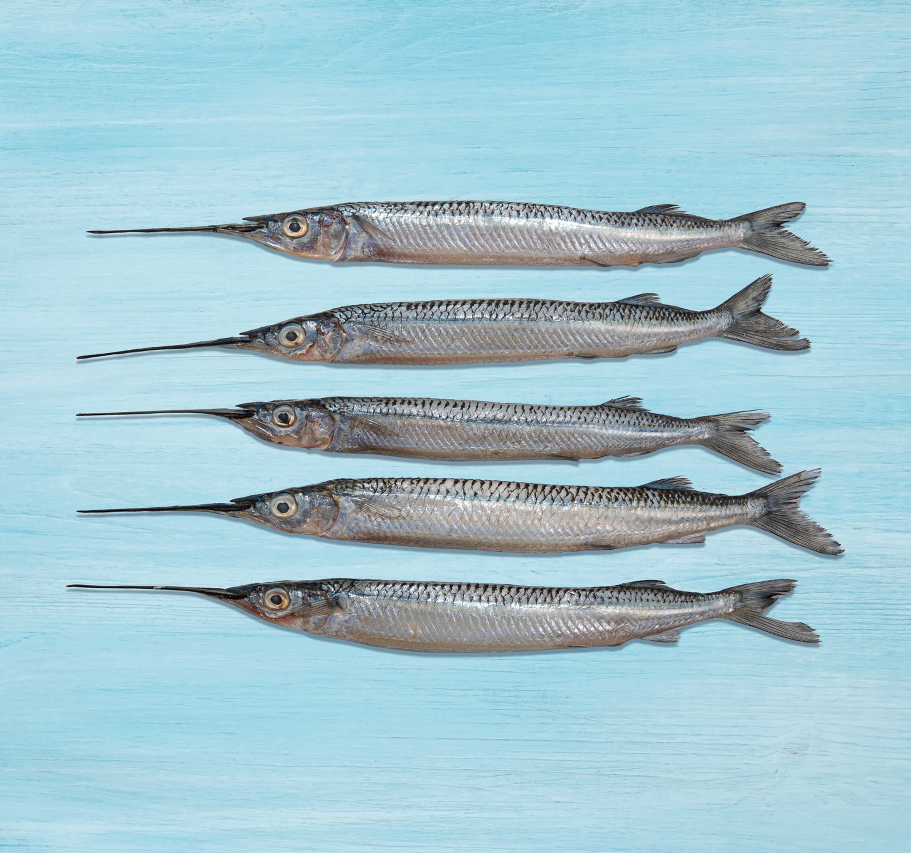 Fresh Needle Fish Whole Cleaned 500 g – Shefs
